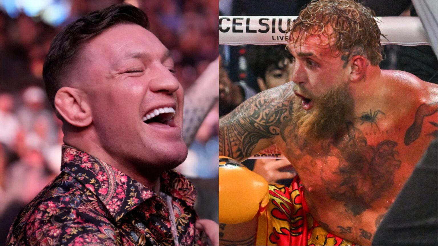 Conor McGregor se burla de la mandíbula rota de Jake Paul en un mensaje ...
